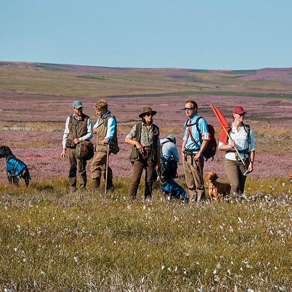 The Glorious Twelfth