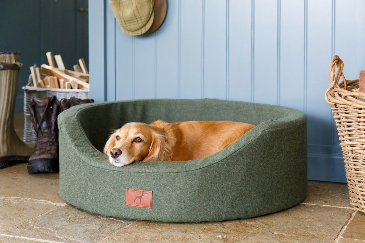 Vet-Approved Spaniel Dog Beds - Orthopaedic Memory Foam