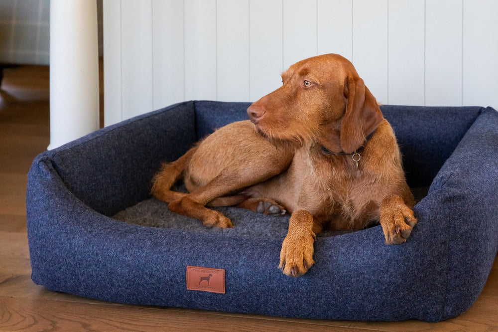 Vizsla Dog Beds - 100% British-Made - Orthopaedic Support