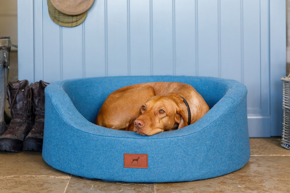 Vizsla Dog Beds - 100% British-Made - Orthopaedic Support