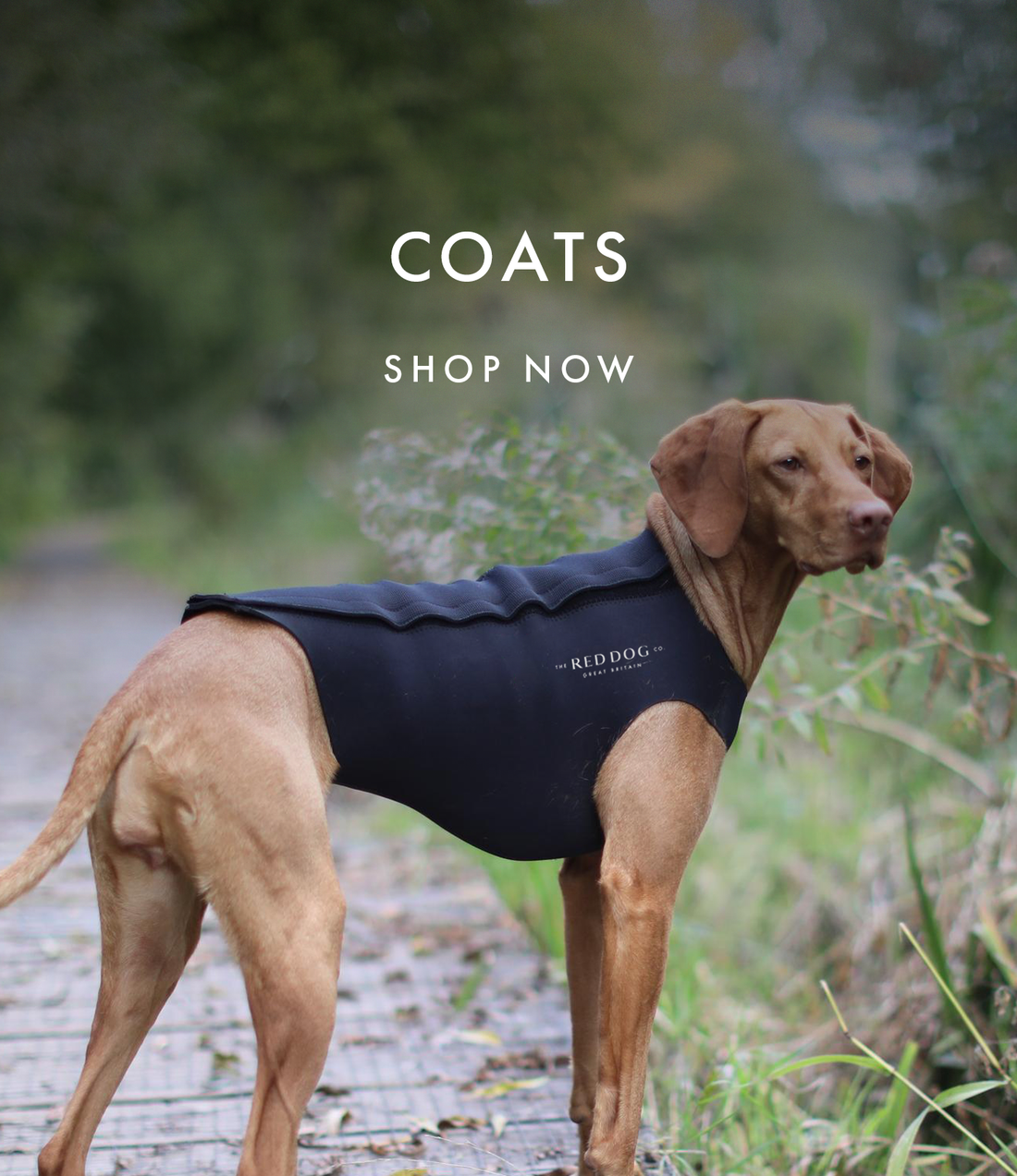 The Red Dog Company - 100% British-Made Dog Beds
