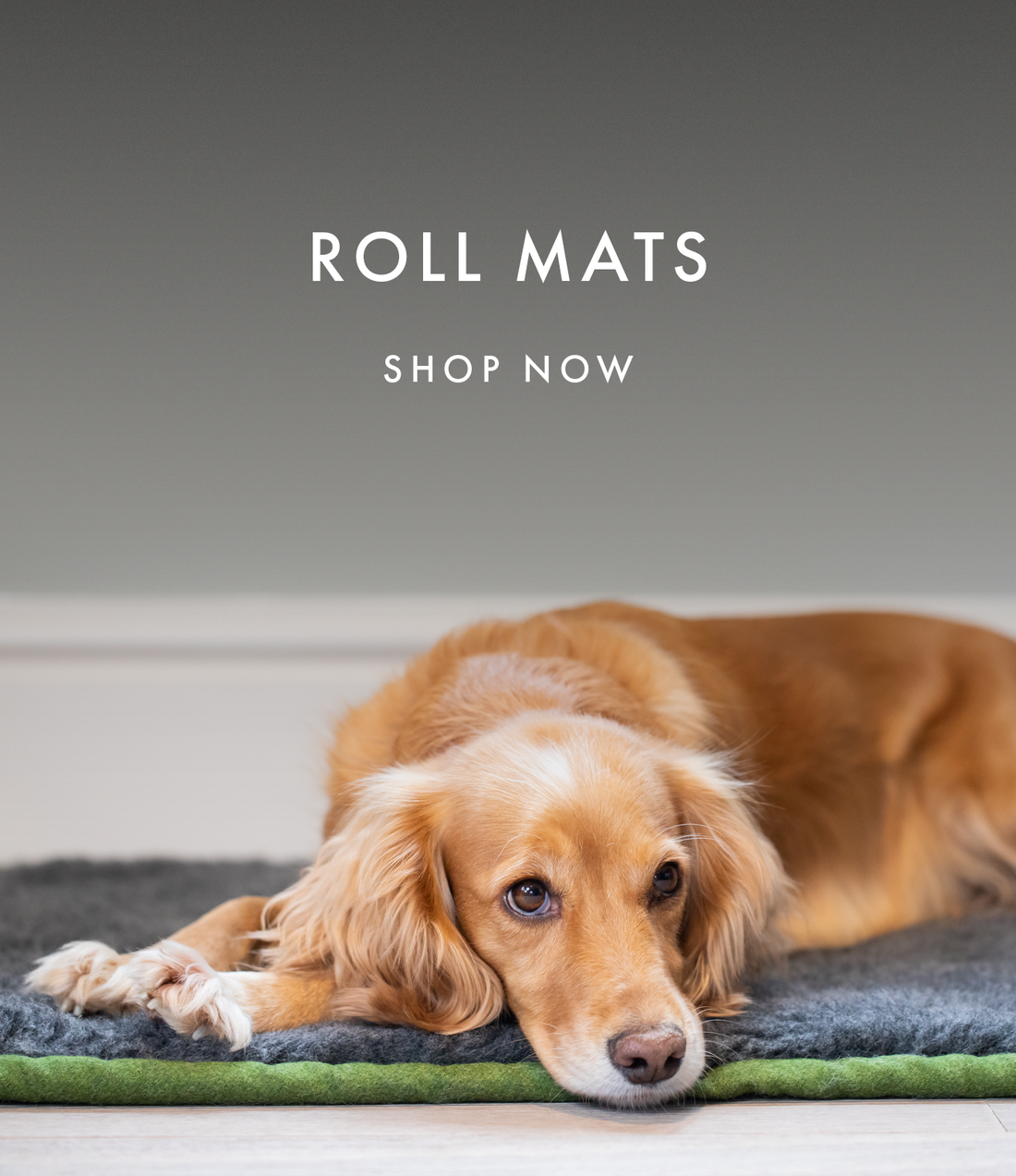 The Red Dog Company - 100% British-Made Dog Beds