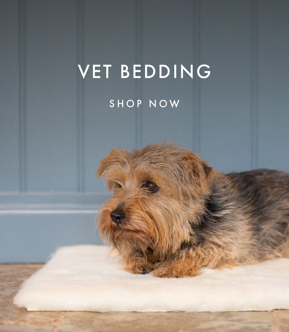The Red Dog Company - 100% British-Made Dog Beds