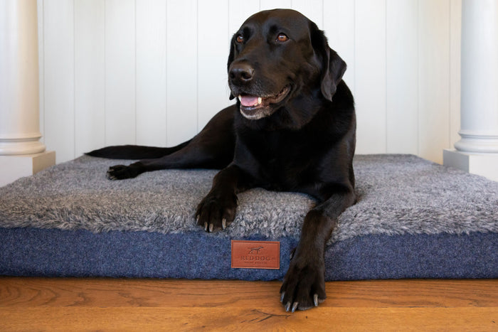 Dog Mats | Vet Approved Orthopaedic Dog Mats