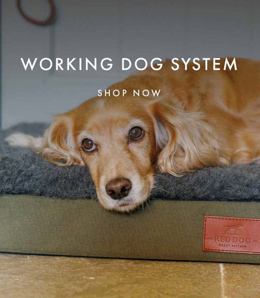 The Red Dog Company - 100% British-Made Dog Beds