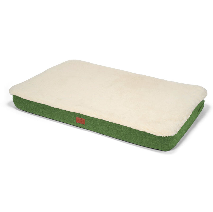 Apple Green Dog Mat